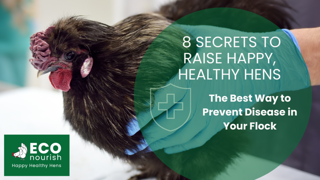 8 Secrets to Raise Happy, Healthy Hens: The Best Way to Prevent Disease ...