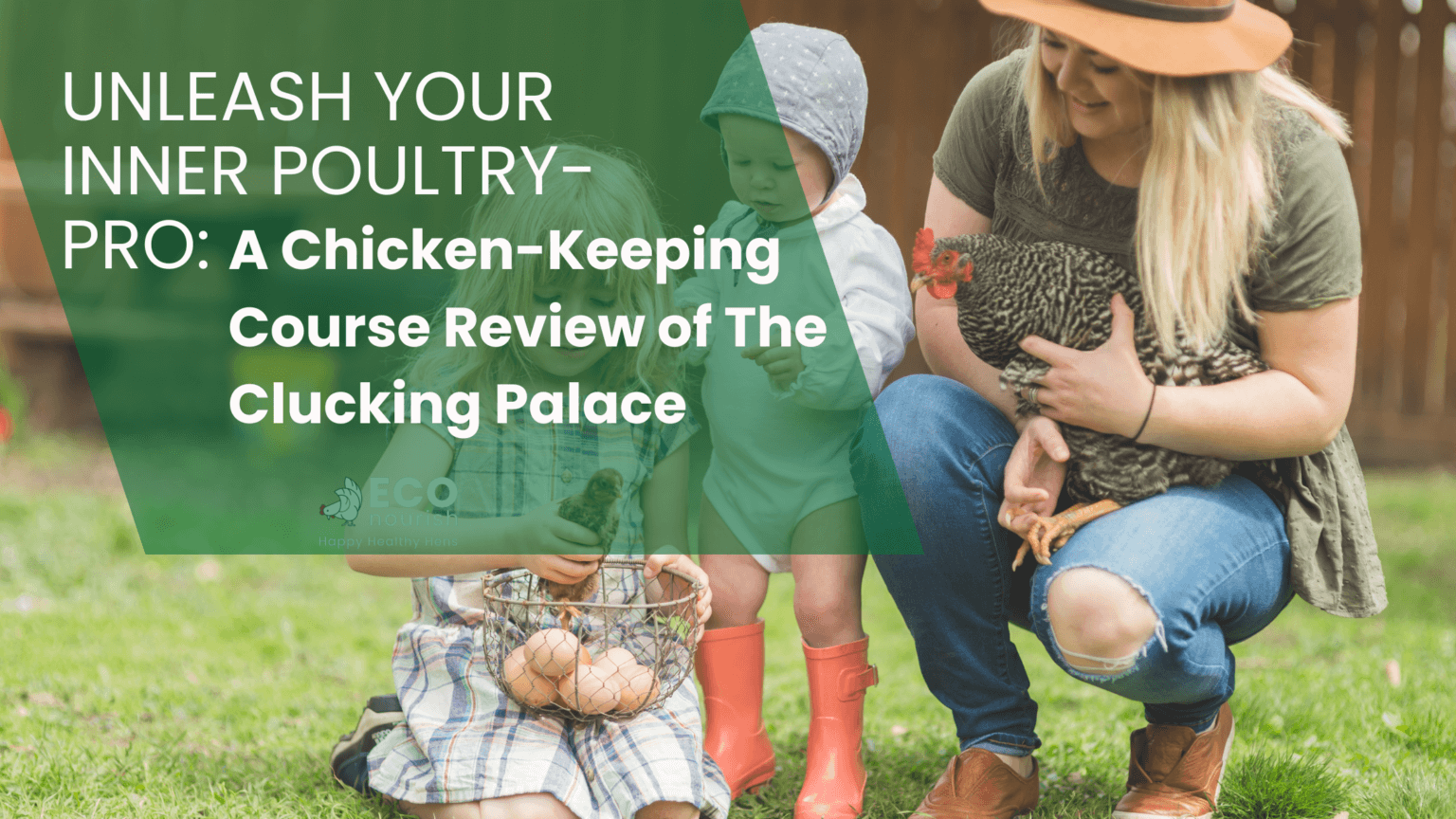 Complete Guide to Pecking Order: Understanding Social Issues in Your ...