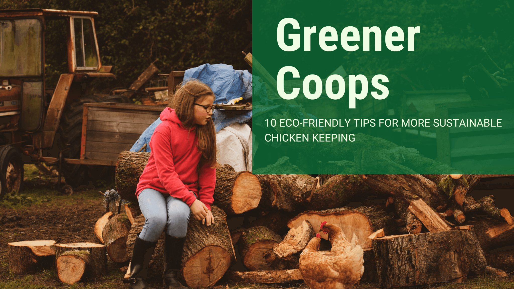 Geener Coops: 10 Eco Tips for More Sustainable Chicken Keeping - ECOnourish